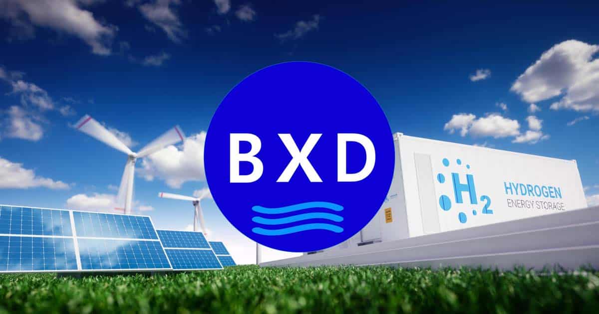 Green Fintech Leader in Blockchain & AI Sustainability | BXD